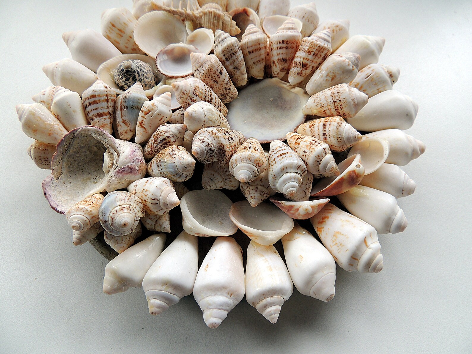 Sea Shells Mosaic, Round Sea Shells Wall Art Mosaic, Home Decoration ...