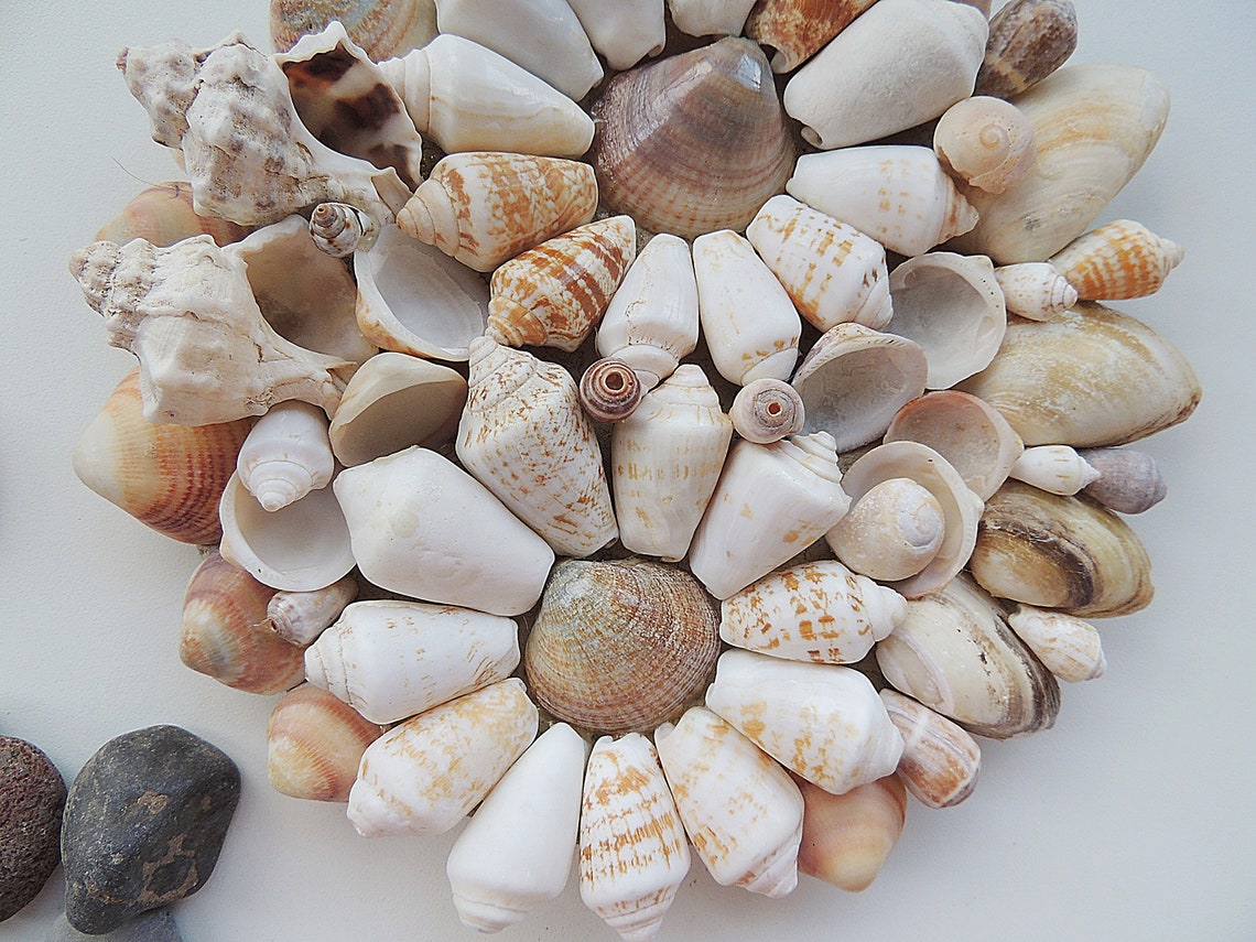 Sea Shells Mosaic Round Sea Shells Wall Art Mosaic Home - Etsy