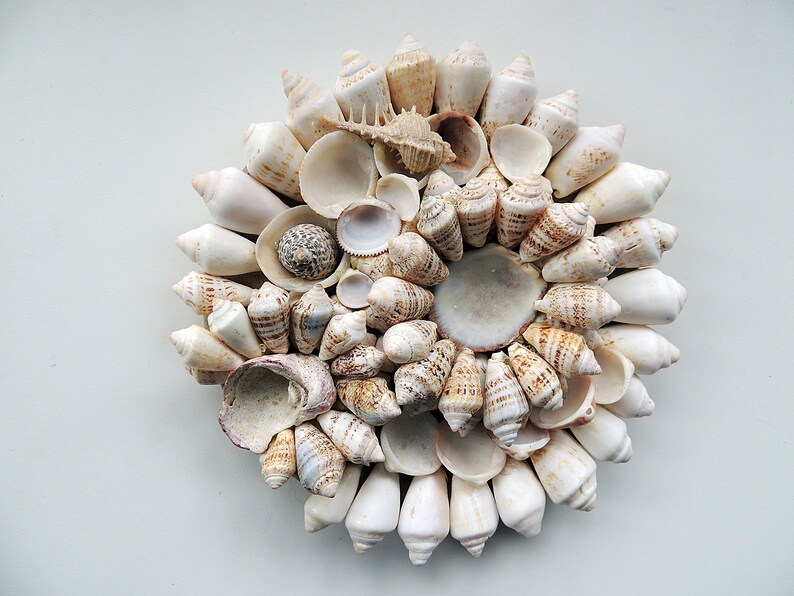 Sea Shells Mosaic, Round Sea Shells Wall Art Mosaic, Home Decoration ...