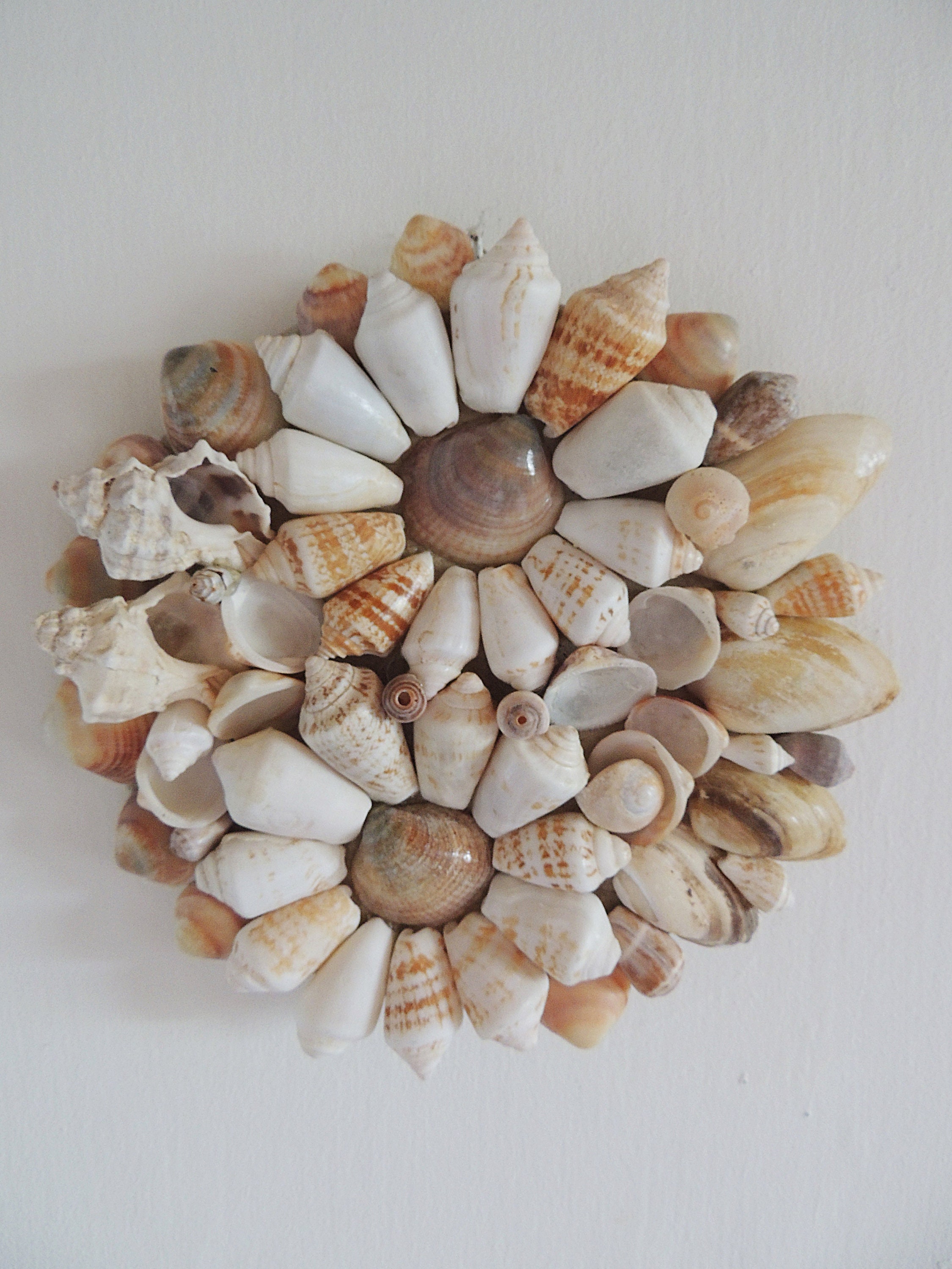 Sea Shells Mosaic Round Sea Shells Wall Art Mosaic Home - Etsy