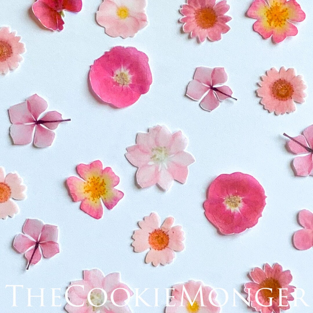 Edible Printed Pink Precut 2D Wafer “pressed” Flower Cutouts - Etsy