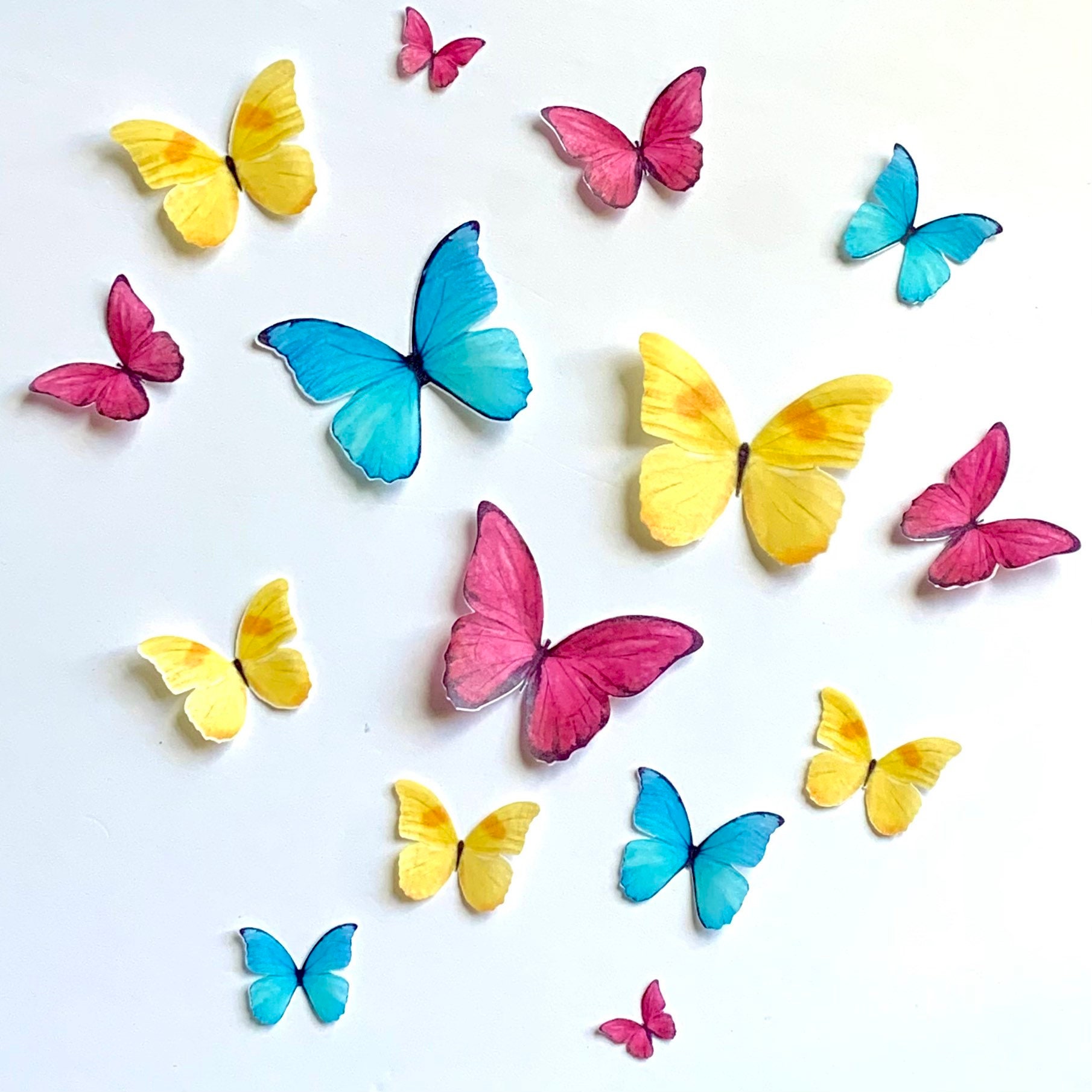 Edible Fiesta Combo Butterflies Wafer Paper Edible Pre Cut 3d