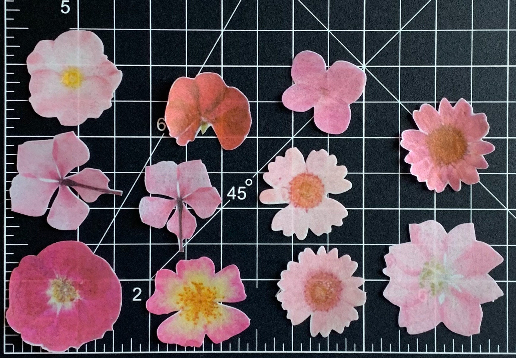 Edible Printed Pink Precut 2D Wafer “Pressed” Flower Cutouts — The ...