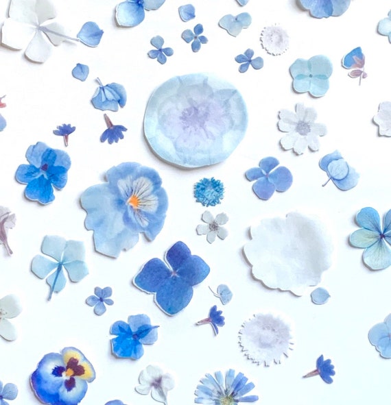 Edible Precut Wafer Blue and White pressed Flowers Flair - Etsy