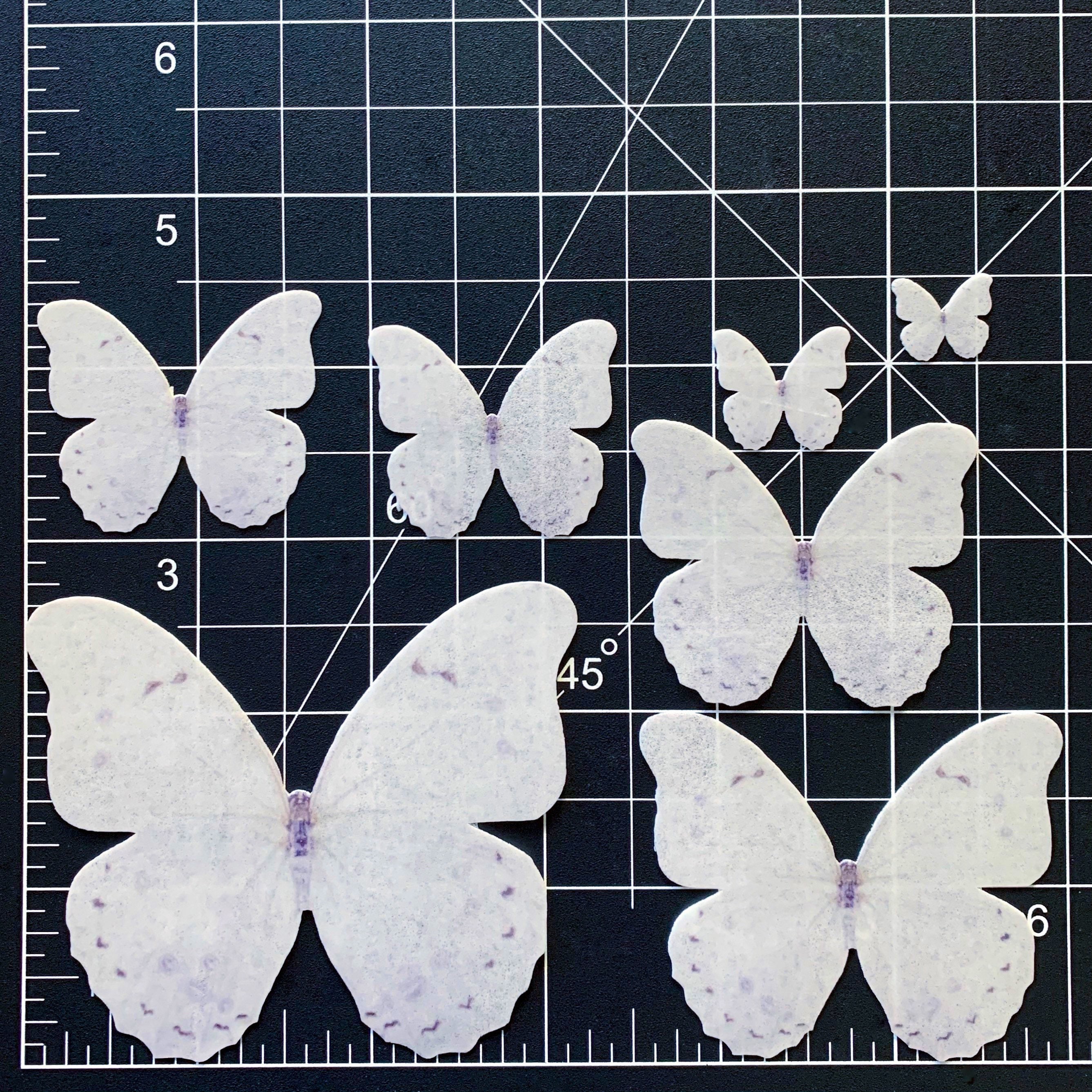 Shimmery White Edible Pre-Cut 3D Wafer Paper Butterflies--14 MultiMixed ...