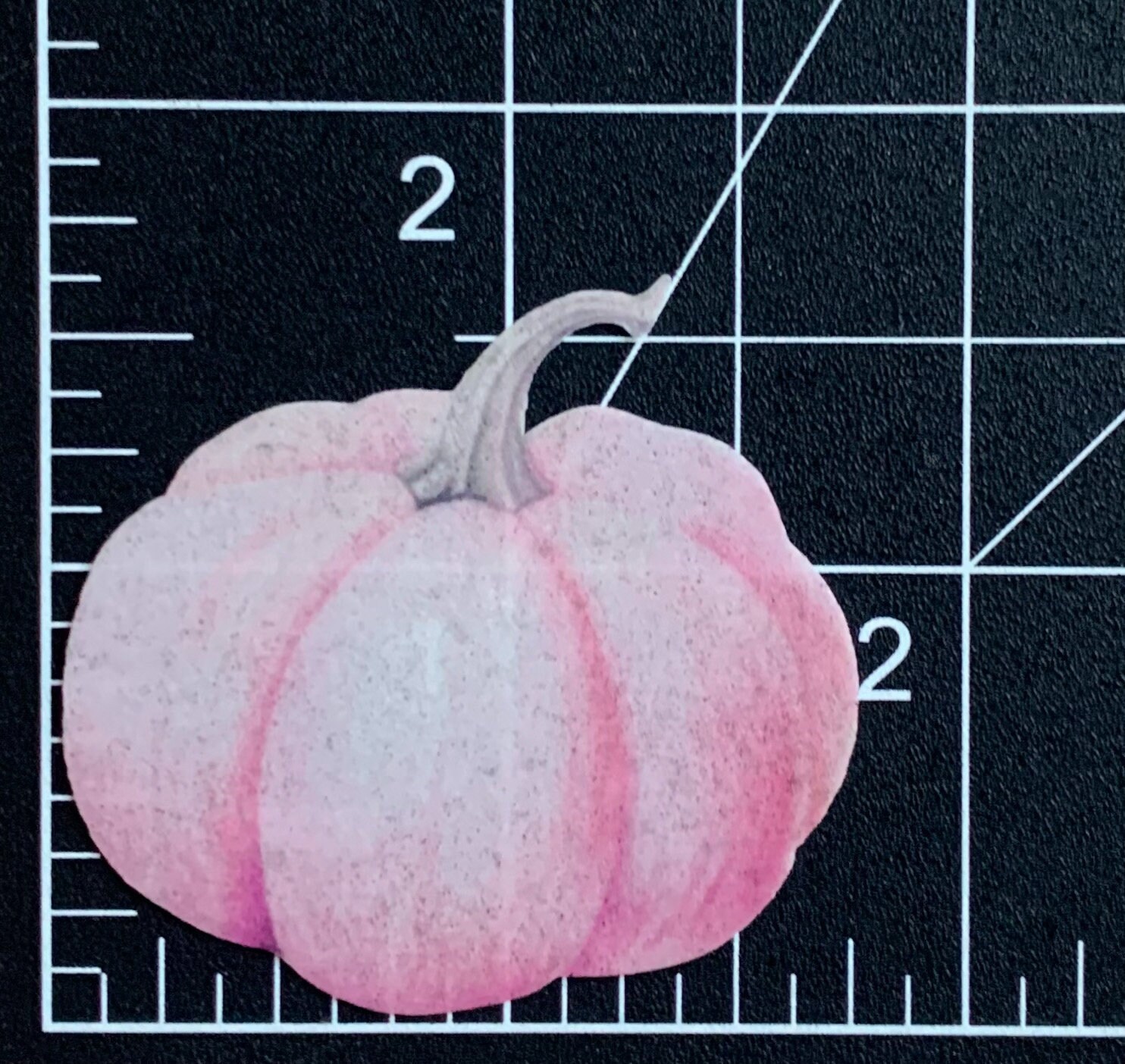 Edible Pink Pre-Cut Wafer Paper Pumpkins — The CookieMonger Edible ...