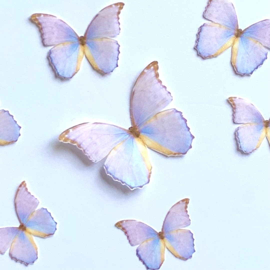 Shimmery Iridescent Pink and Blue Wafer Paper Edible Pre-cut 3D ...