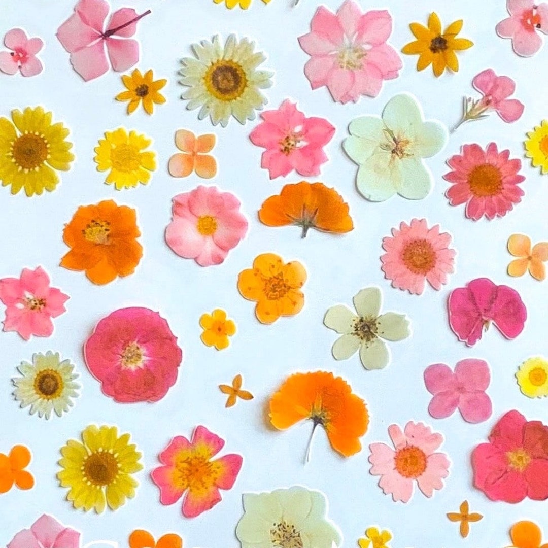Edible Printed Precut 2D Wafer “pressed” Flower Cutouts—pink, Orange ...