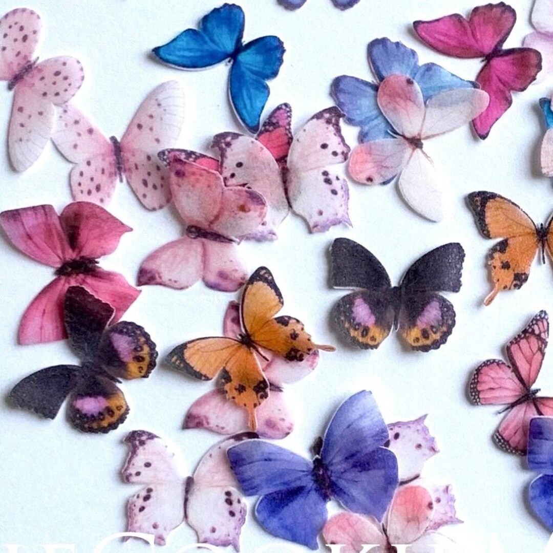 Wild 1.5" Edible Butterflies--1.5” Pre-cut Edible 3D Butterflies - Etsy