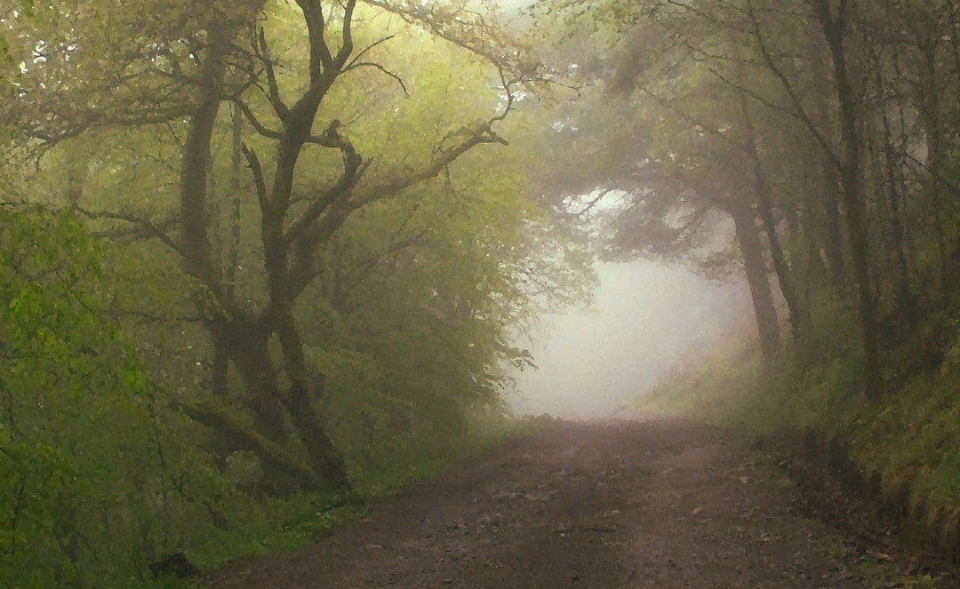 Welsh Landscapes Forest Scenes Digital Download Printable - Etsy