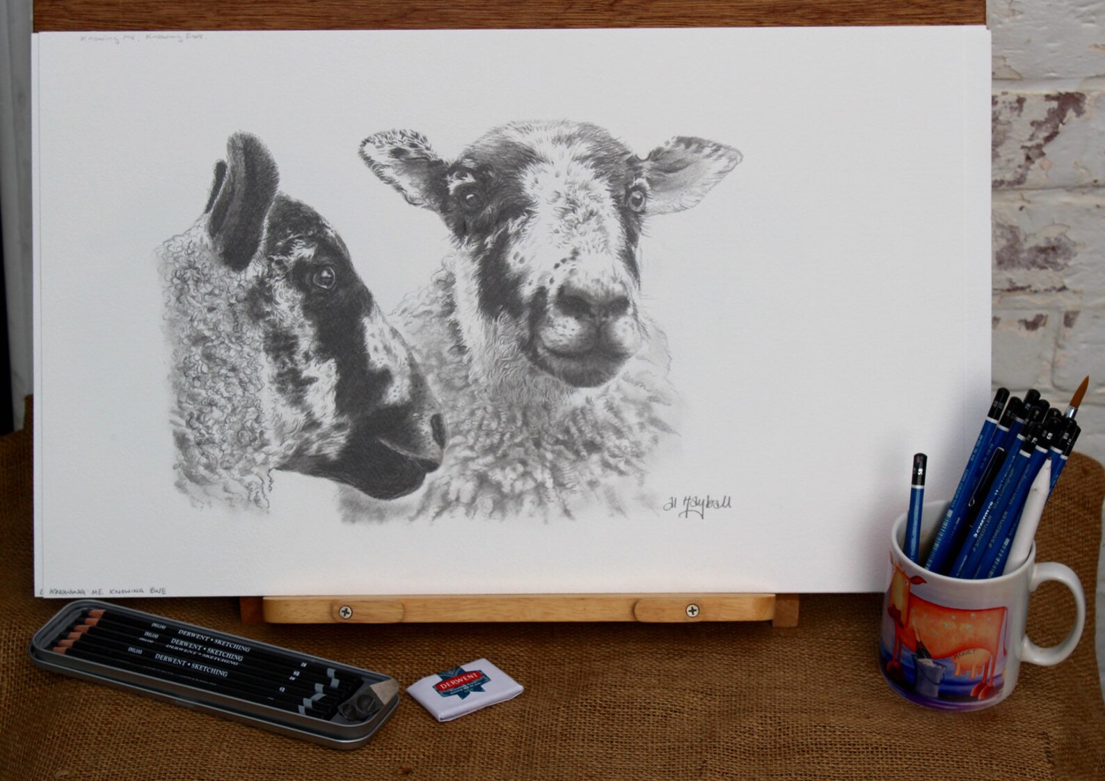 ORIGINAL ART, Pencil Sheep Drawing, Graphite, Swaledale Sheep, Mule ...