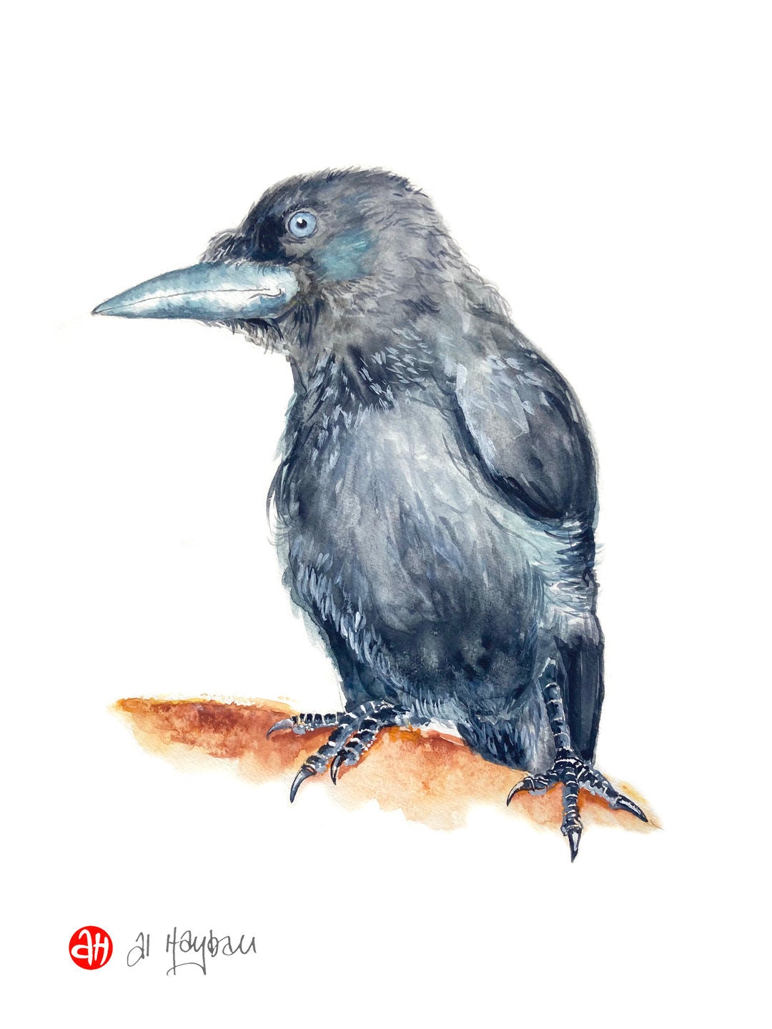 JACKDAW Art, ORIGINAL, Watercolour Painting, 16 X 12, Bird Art, Corvid ...