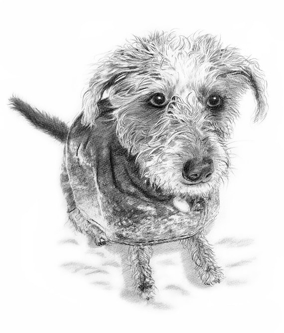 Draw The Snowdog