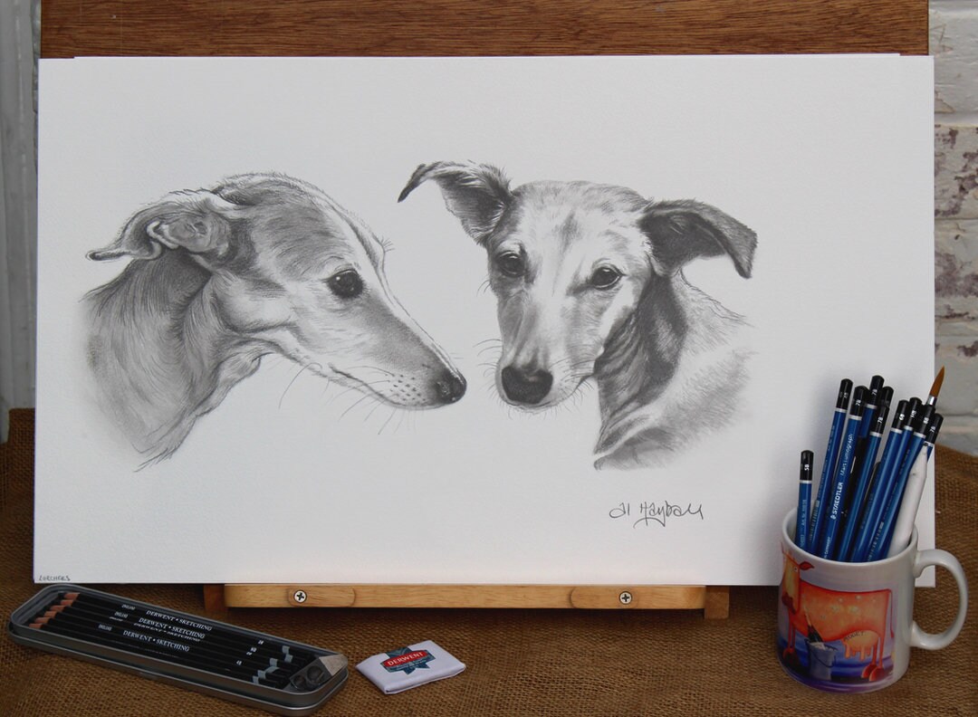 ORIGINAL ART, Pencil Drawing of a pair of Lurchers, dog lover ...