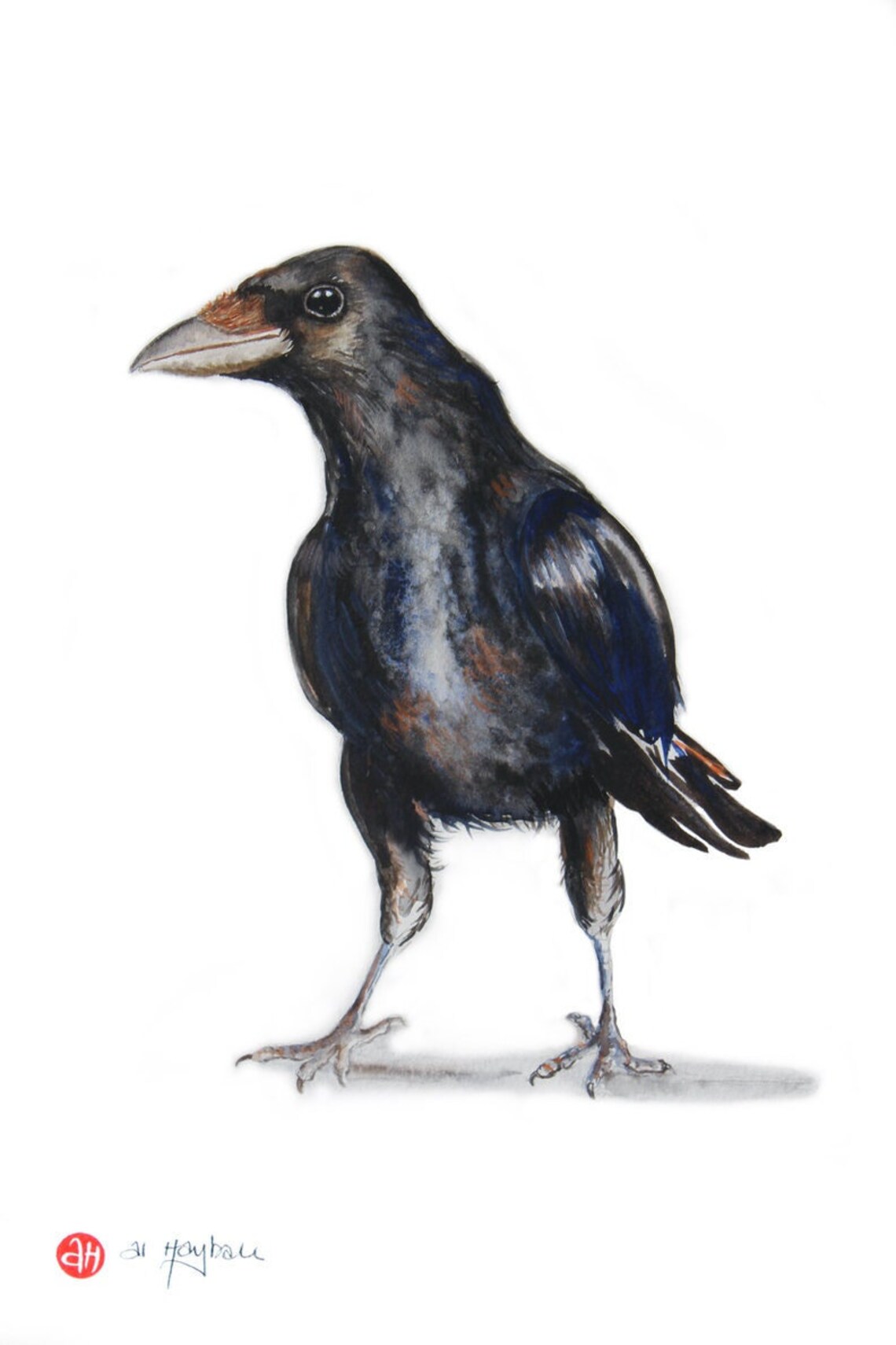 CROW, Limited Edition Print, From a Watercolour, Bird Watercolour, Bird ...