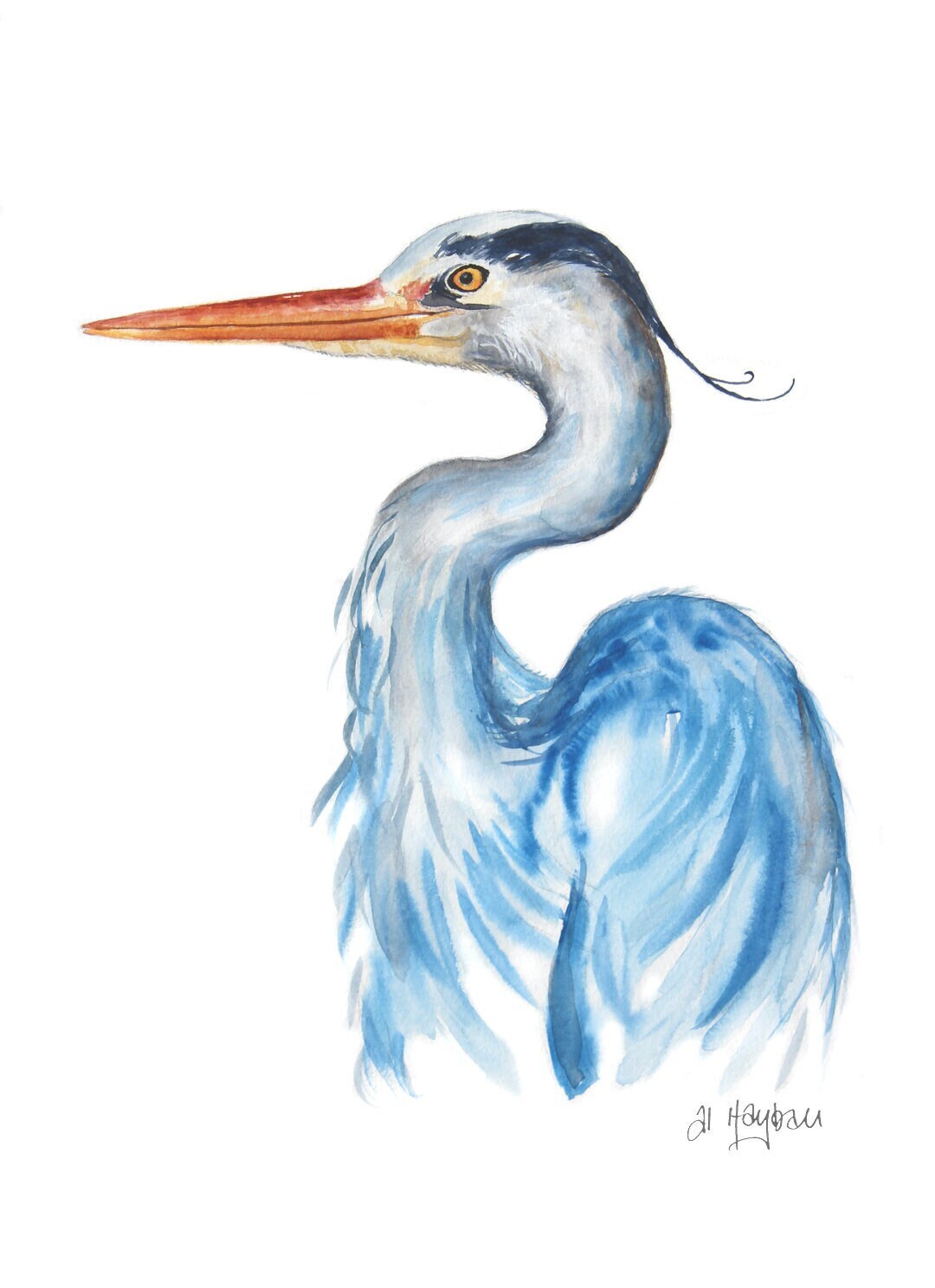 Heron, Limited Edition Print, From a Heron Watercolour, Bird ...