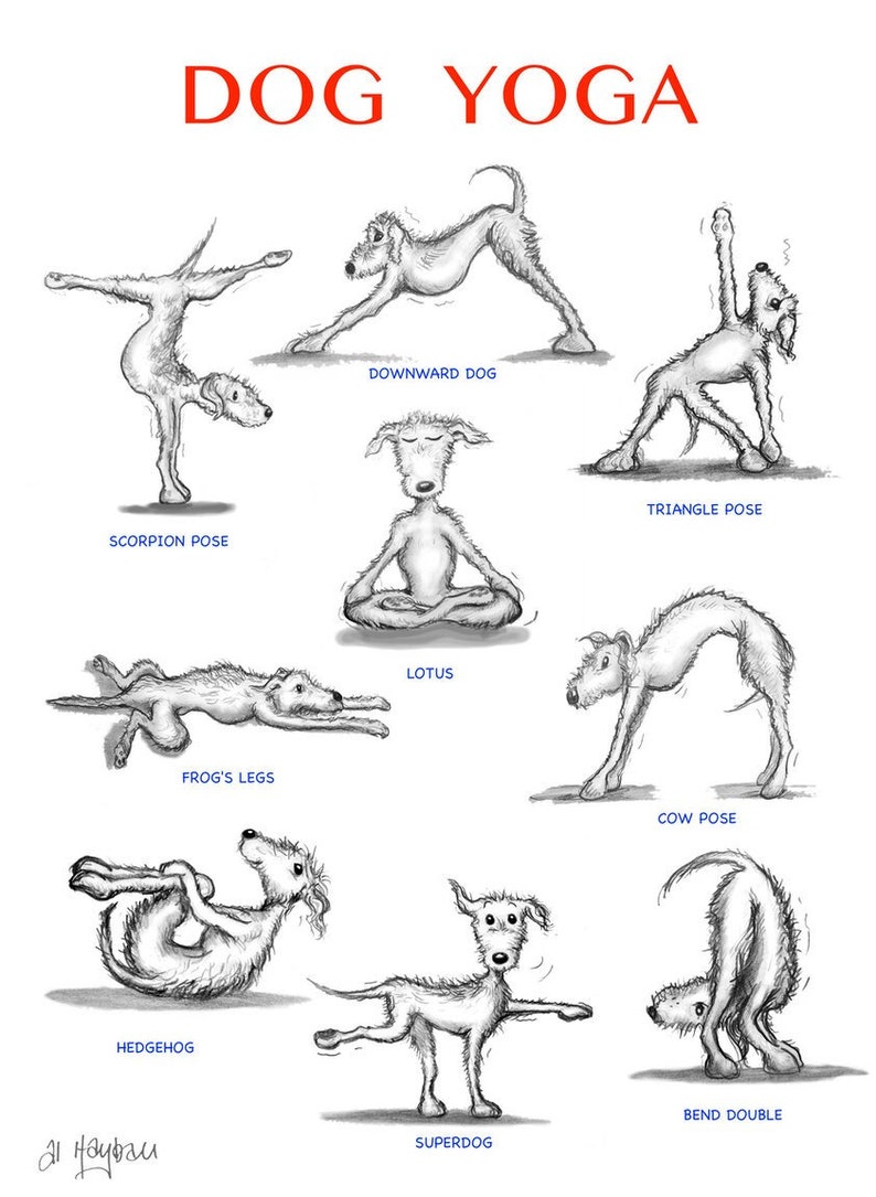 DOG YOGA PRINT, Yoga for Dogs, Dog Yoga Art, Bedlington Whippet Yoga ...
