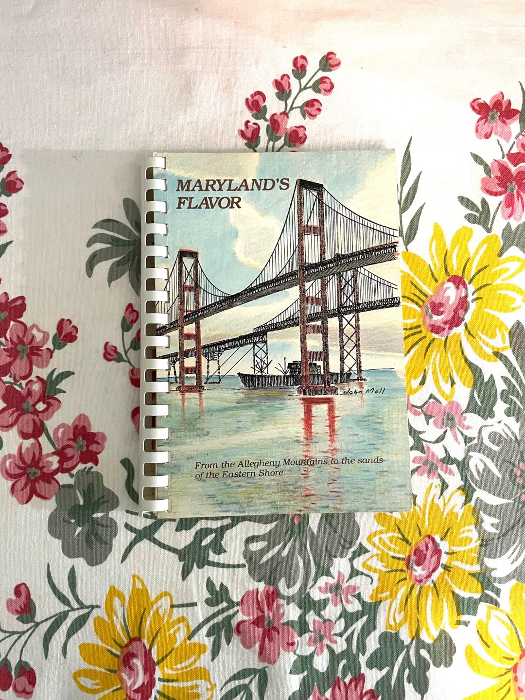 Maryland's Flavor Local Cookbook Vintage 1981 American Cancer Society ...