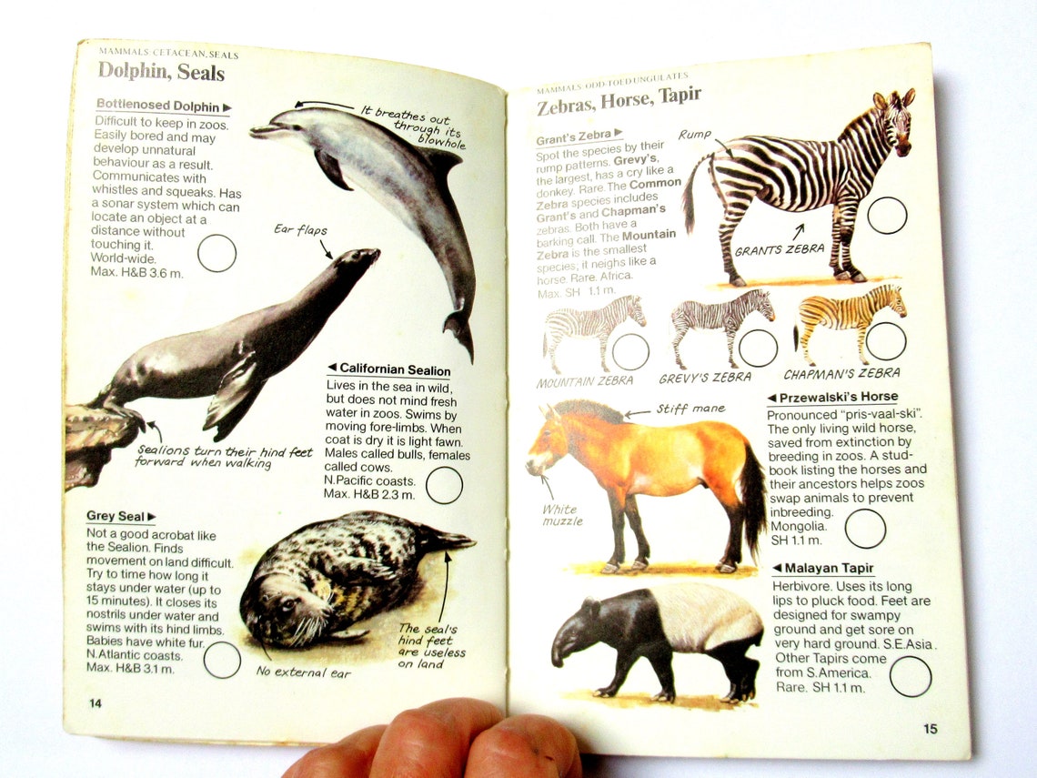 Spotter's Guide to Zoo Animals Vintage Book Usborne | Etsy
