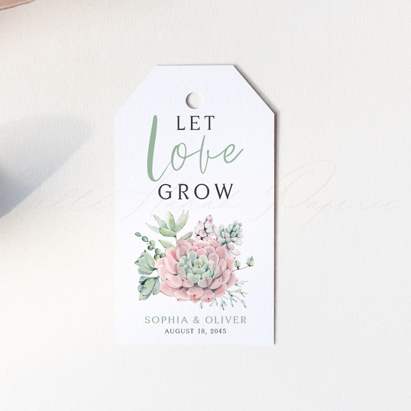 Succulent Gift Tag - 60+ Gift Ideas for 2025