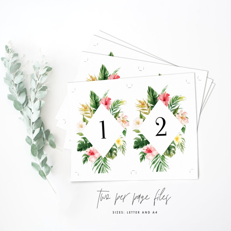 Instant Download Tropical Table Numbers 1 to 20 Watercolor - Etsy