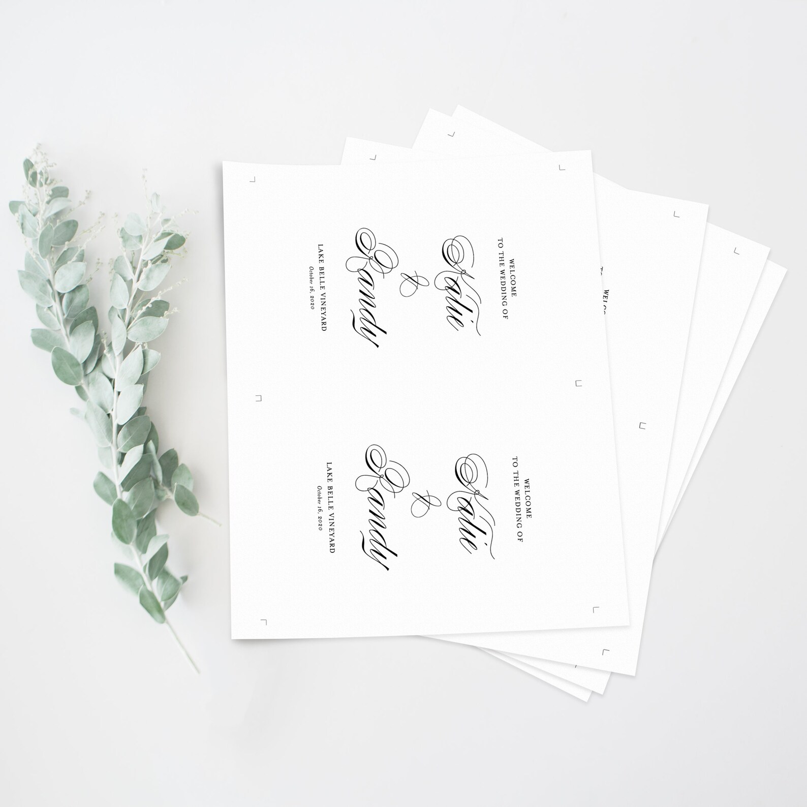 Printable Wedding Program Fans Template - 5x7 Editable Wedding Fan ...