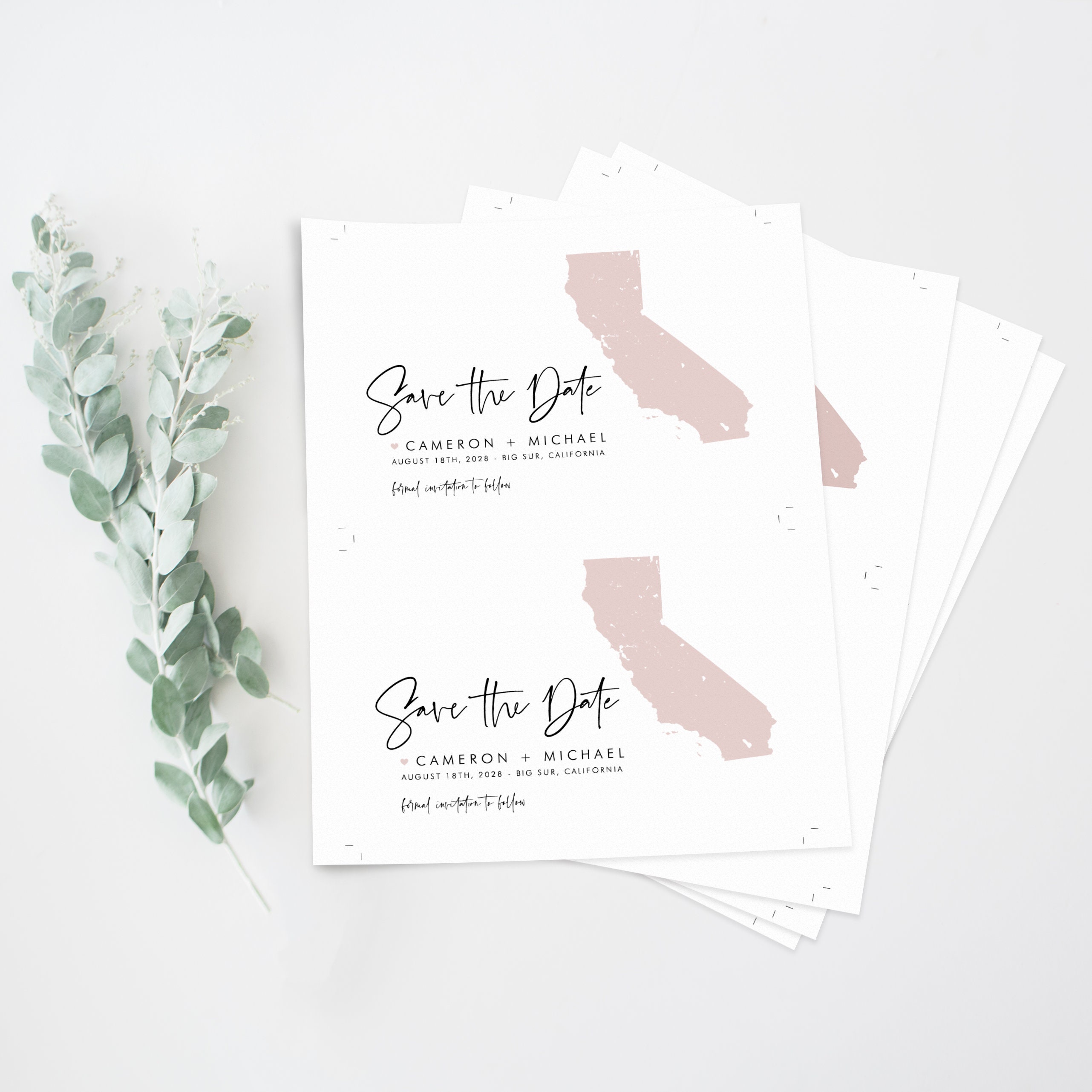 DIY Blush Pink Florida Map Save the Date Announcement Template | Etsy