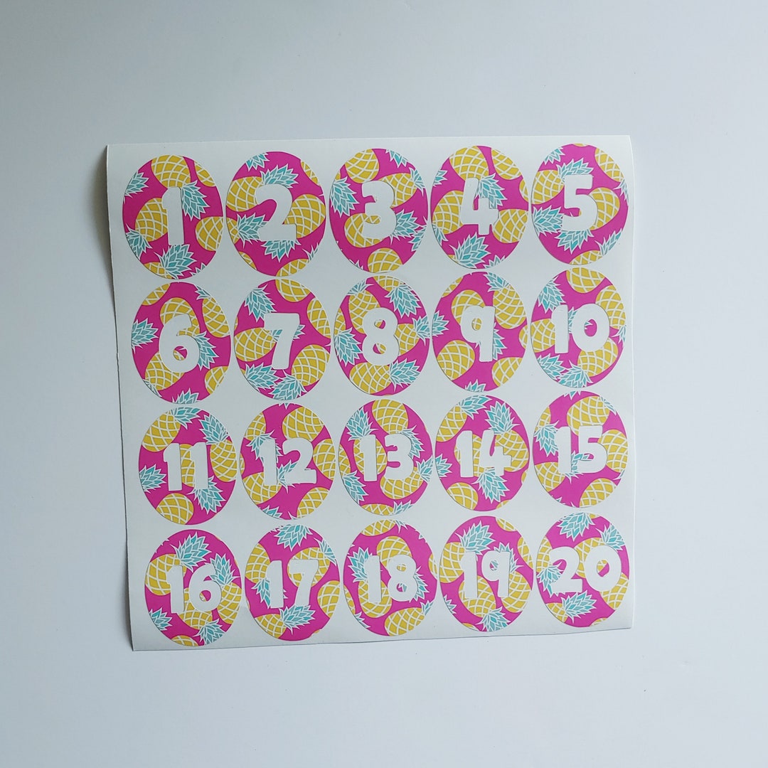 Tropical Pineapples Number Vinyl Classroom Decals - Etsy