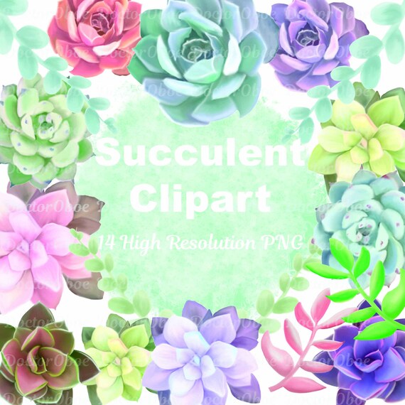 Watercolor Succulent Clipart Succulent Clipart Digital - Etsy