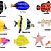 Finding Nemo Inspired Realistic Clipart, Salt Water Fish Clipart, Clown ...