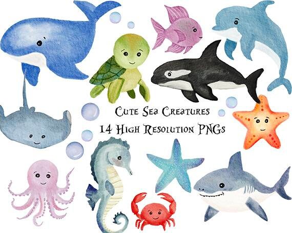 Cute Sea Creatures Clipart Watercolor Sea Creatures Clip Art - Etsy