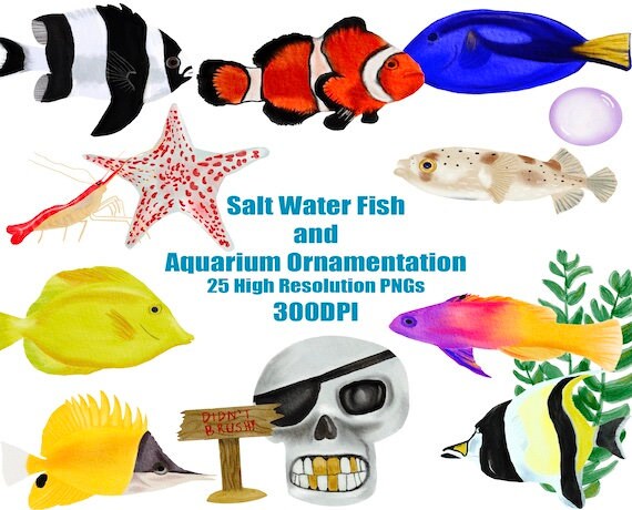 Finding Nemo Inspired Realistic Clipart, Salt Water Fish Clipart, Clown ...