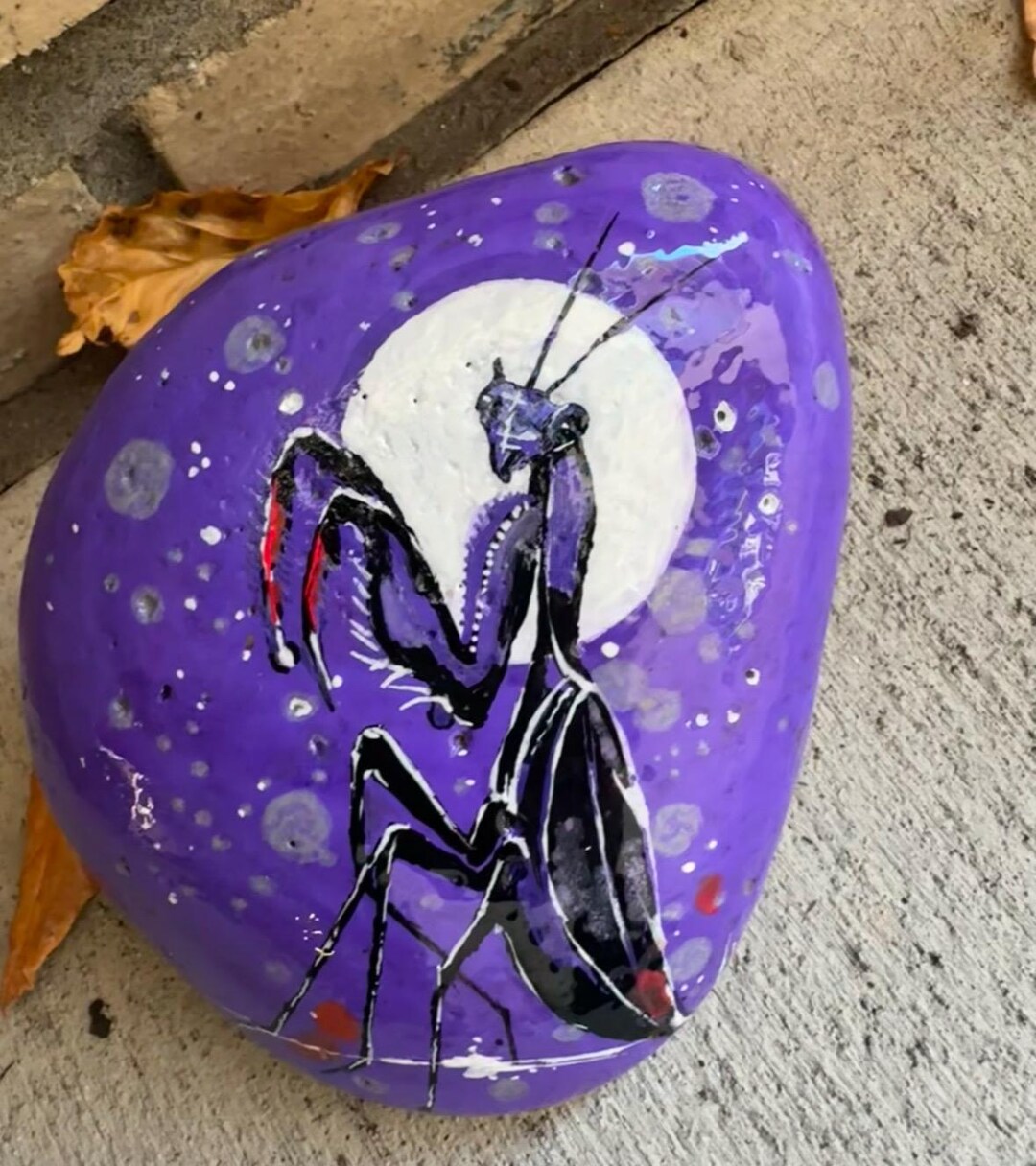 Praying Mantis With Orbs Hand Painted on a Rock! - Etsy
