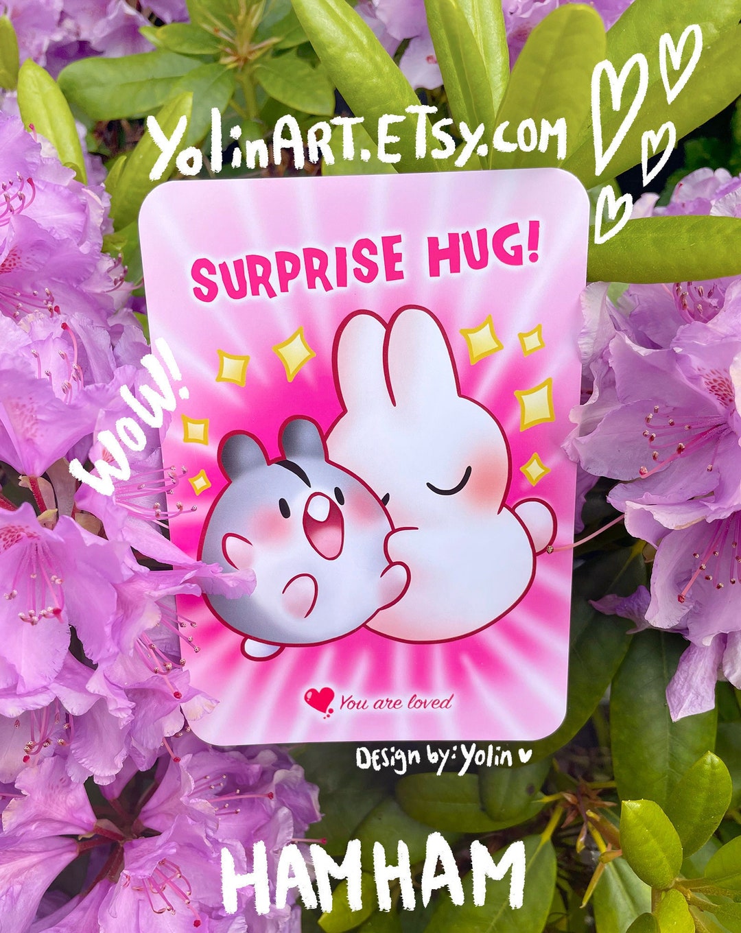 Postcard HAM HAM Surprise Hug! | Thinking of You Friendship Family Love ...