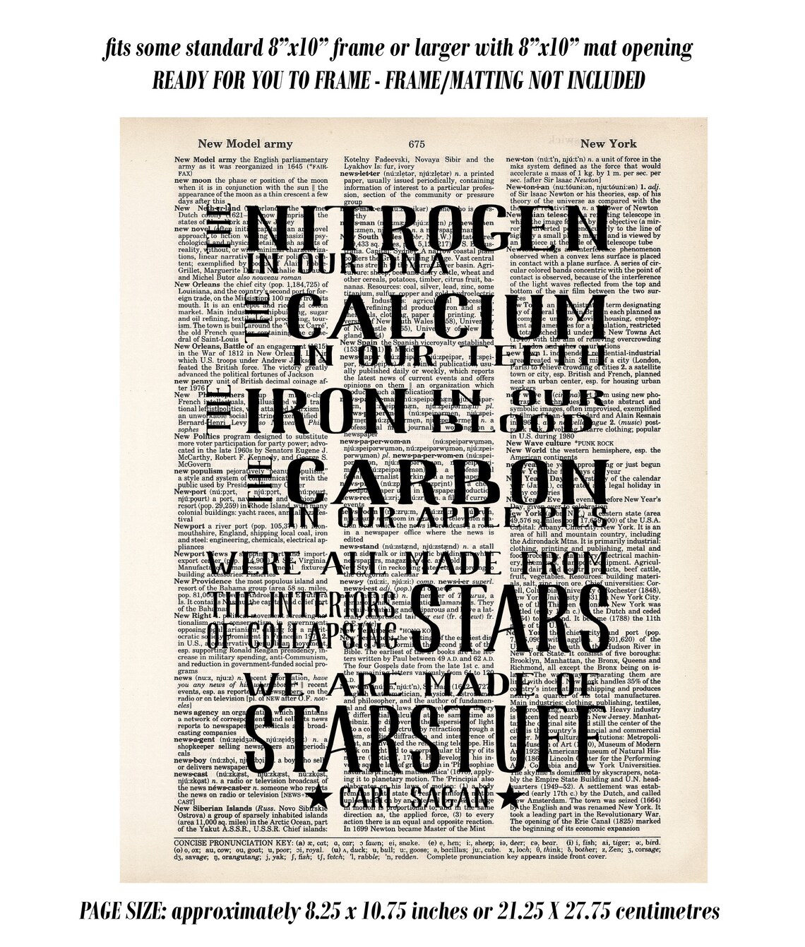 Carl Sagan Quote The Nitrogen In Our DNA Calcium in Our Teeth | Etsy