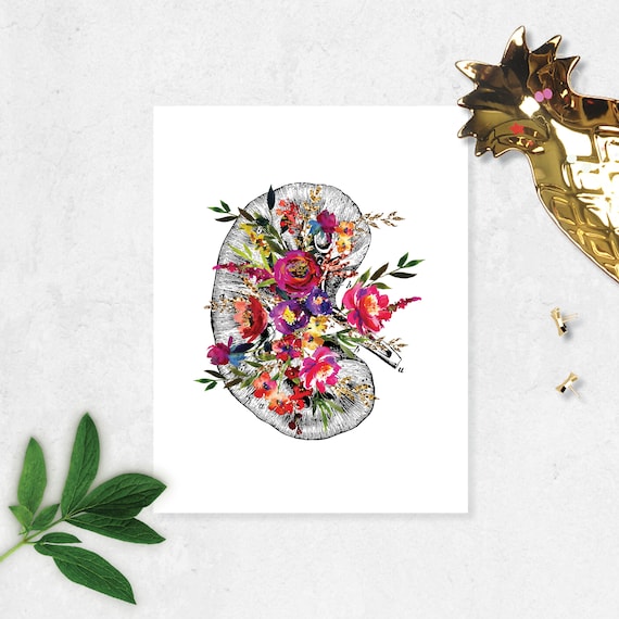 Anatomical Kidney With Watercolor Flowers in Pinks Purples - Etsy