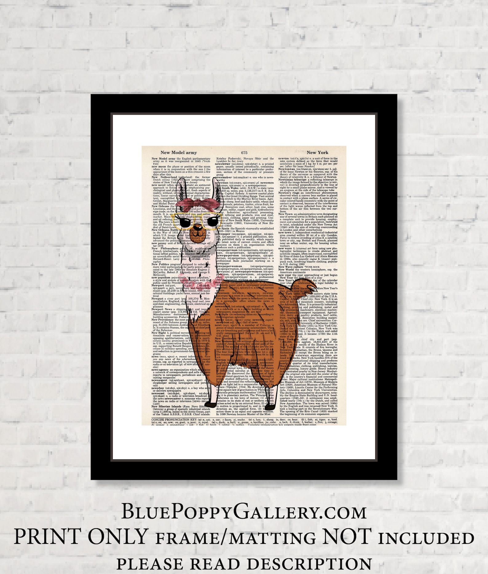 Llama Art Print Llama Print Llama Wall Art Llama in | Etsy