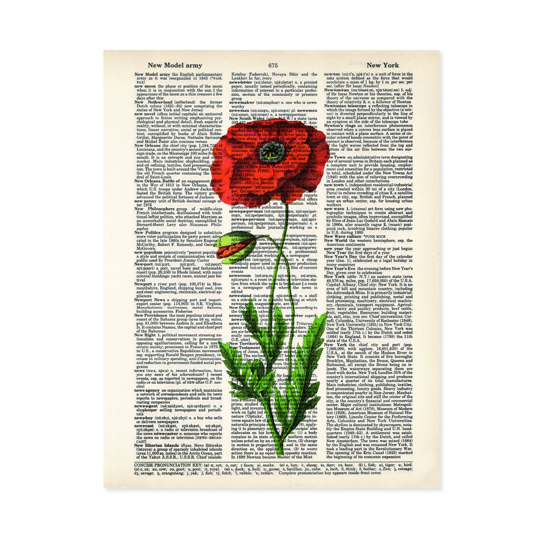 Poppy Art Vintage Botanical Print Red Poppy Print - Eco Friendly ...