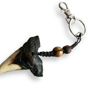 Handcrafted Shark Tooth Resin Keychain - Perfect Beach Souvenir ...