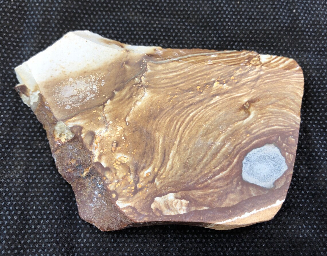 Palomino Bild Jasper Rock Platte aus Oregon für Cabbing - Etsy.de