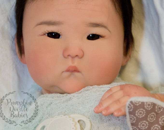 CUSTOM ORDER Reborn Doll Baby Girl or Boy Anming by Ping Lau Asian You ...