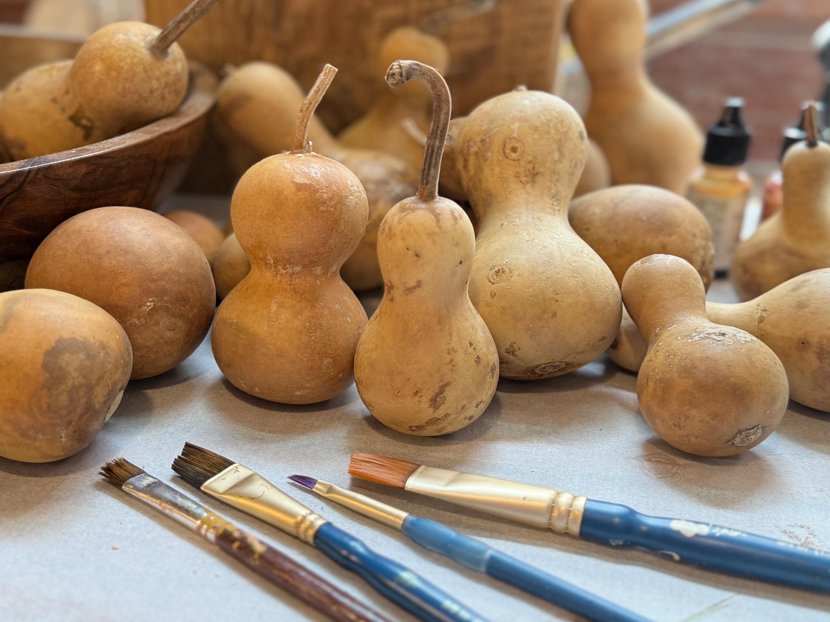 Real Dried Gourds, Fall Table Decor, Natural Wooden Dough Bowl Filler ...
