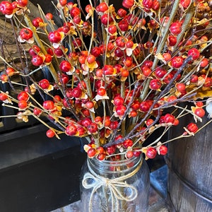 Fall Flowers, Bittersweet Branch Bouquet, Orange Berry and Twig Flower ...