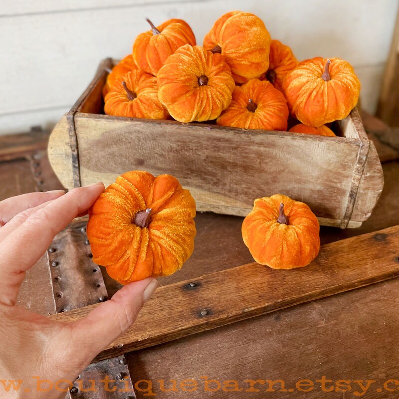 Pink Velvet Pumpkins - Etsy