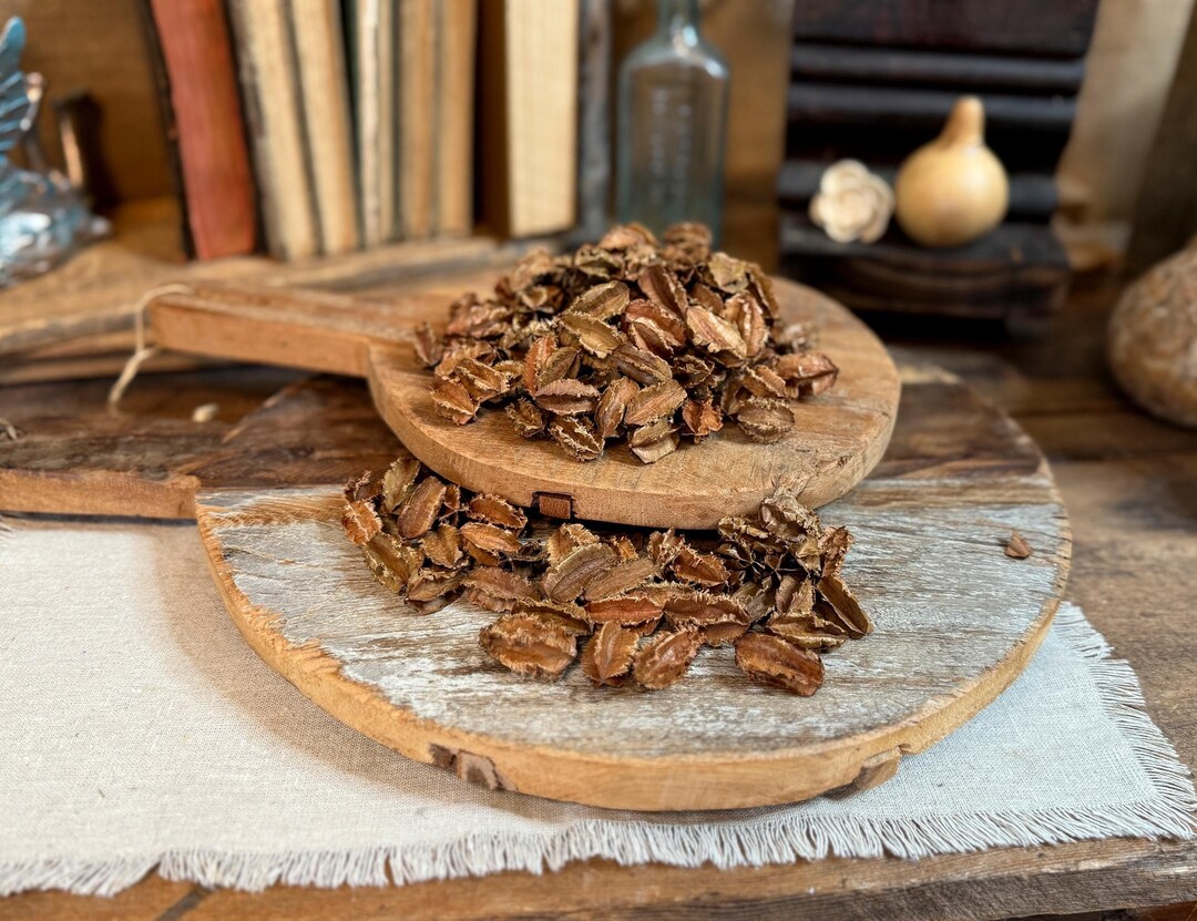 Fall Bowl Filler, Dough Bowl Decorations, Dried Botanicals, Neutral ...