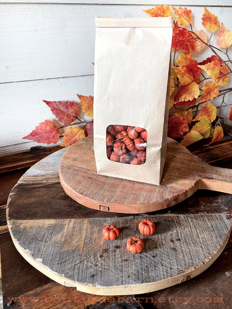 Little Fall Pumpkins, Vase or Bowl Filler, Natural Dried Putka Pods ...