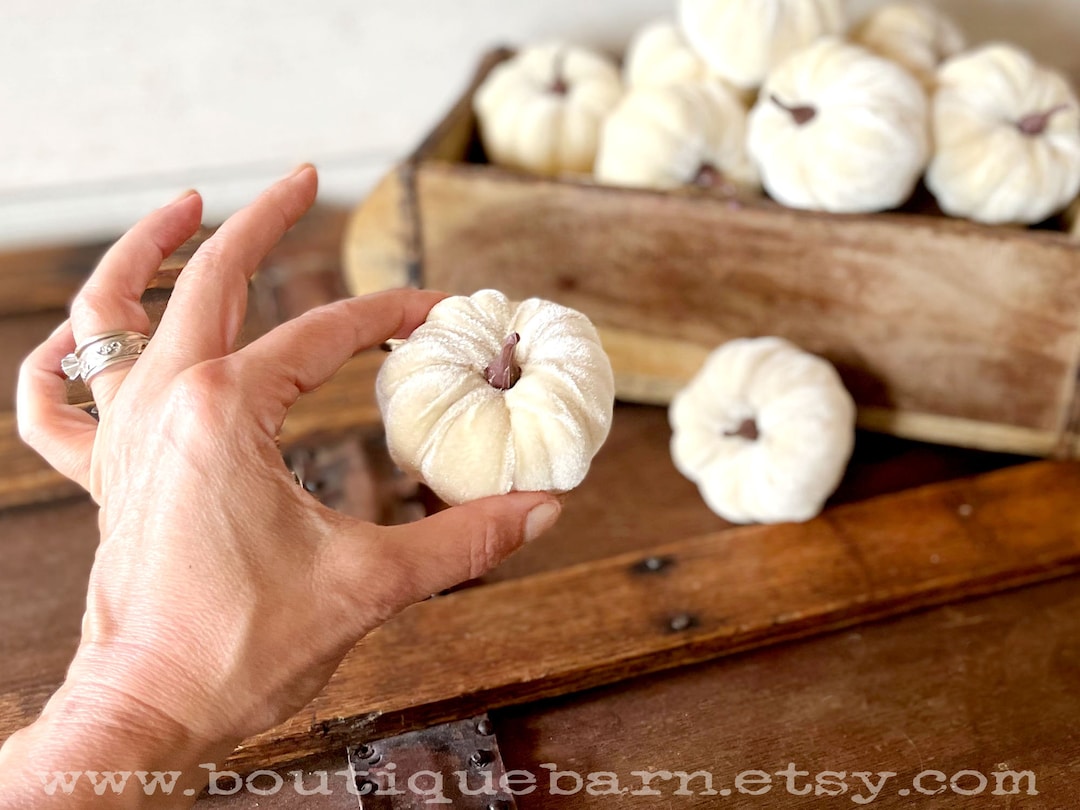 Small Fall Pumpkins in White Velvet for Fall Tabletop Decorating - Etsy