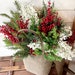 Red Berry Sprays for Christmas Decorating, Iced Berries for Rustic ...
