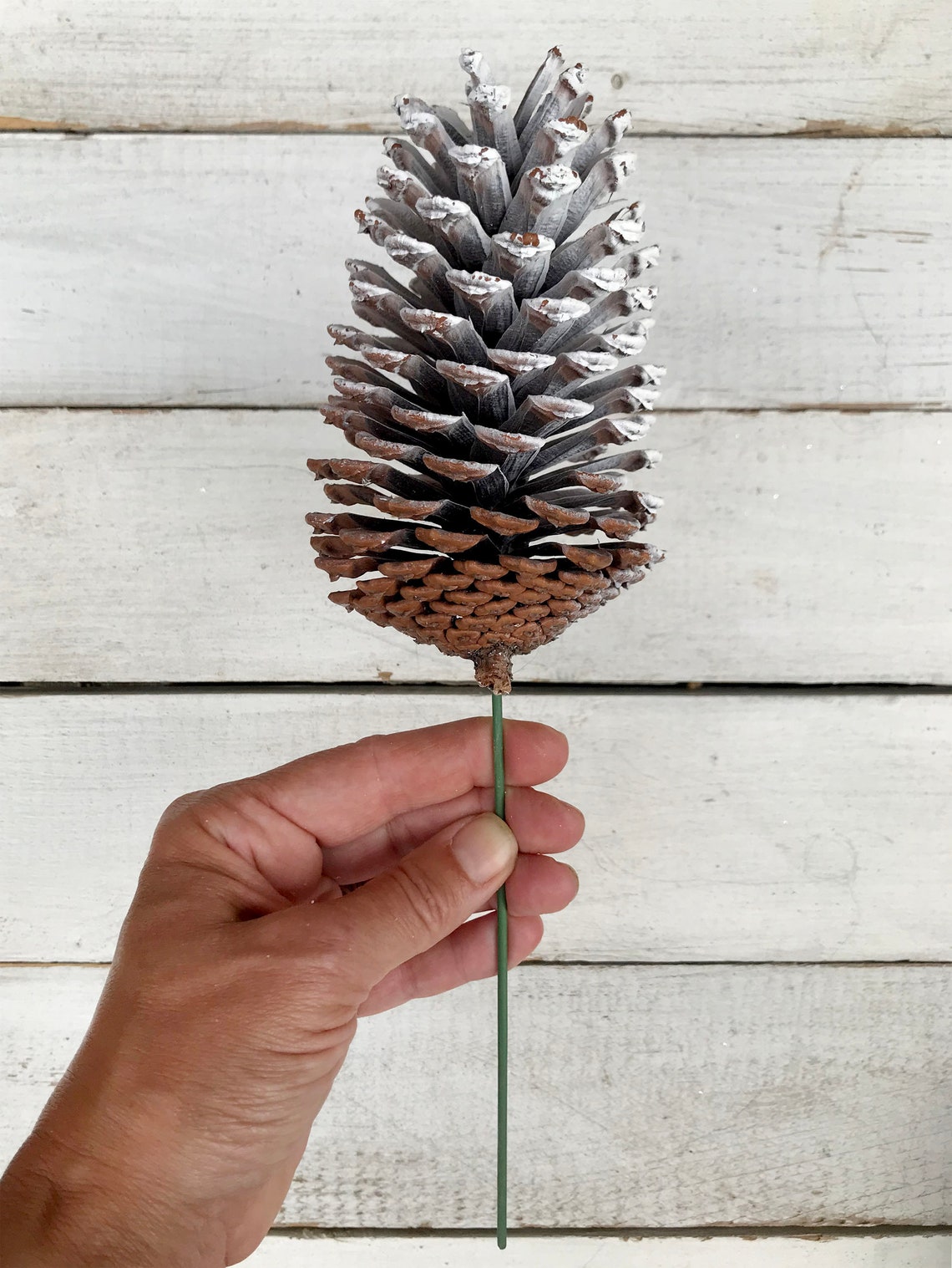 White Pine Cone StemChristmas Naturals For Mason Jar Or | Etsy