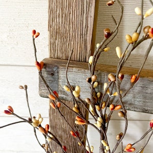 Fall Pip Berry Stems, Rustic Brown Branches, Autumn Decor, Buffet ...